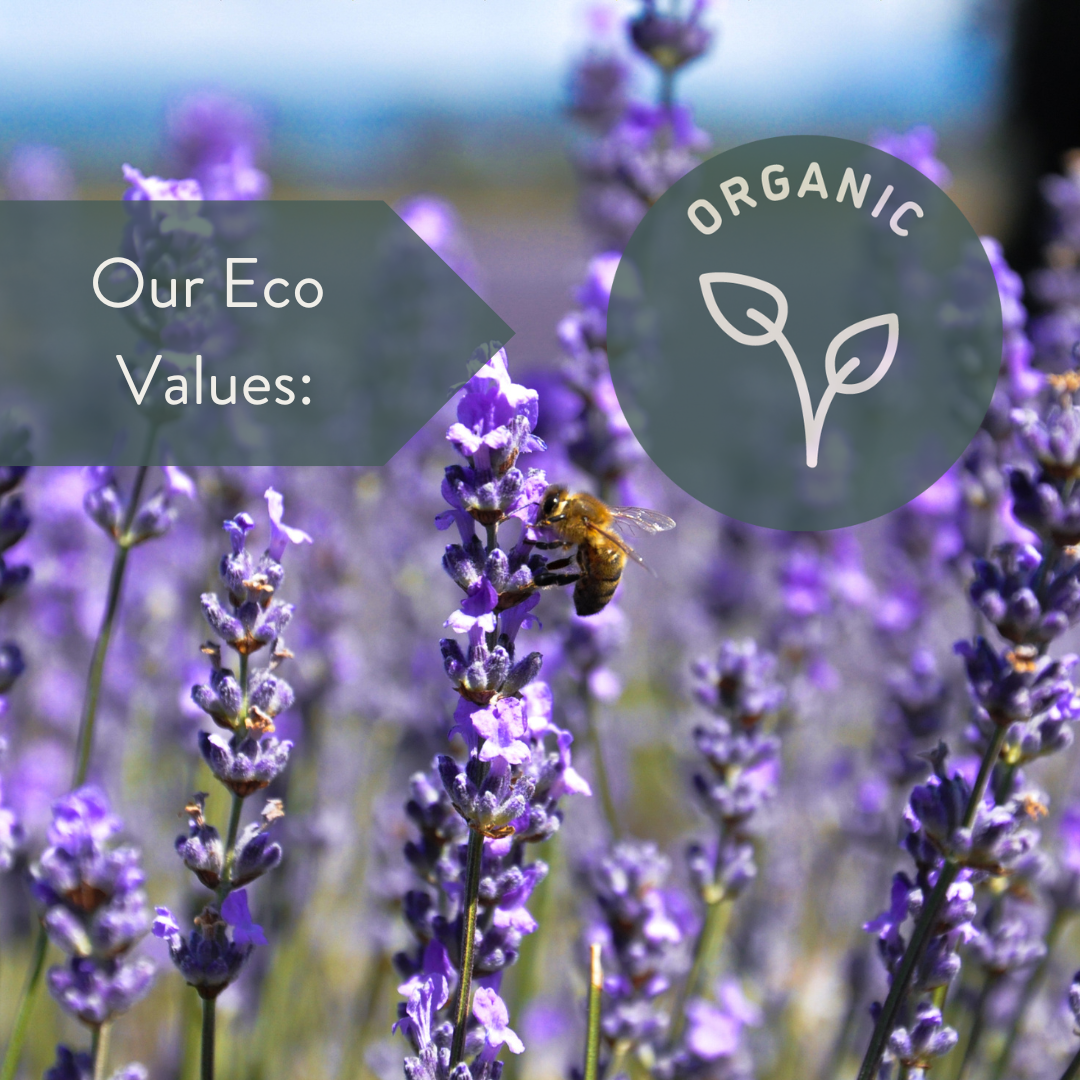 Our Eco Values: Organic – Green Tulip