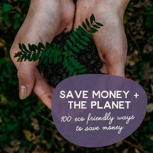 100 Easy Eco-Friendly Ways to Save Money in 2025 – Green Tulip