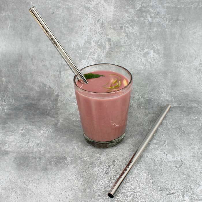 A Slice of Green Straw | Stainless Steel Straw | Reusable Smoothie ...