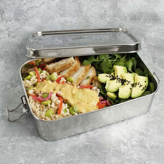 Eco-Friendly Lunch Boxes | Plastic Free Lunch Boxes | Green Tulip
